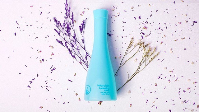 Rekomendasi-Produk-Toner-Lokal-Terbaik-Dengan-Harga-Terjangkau